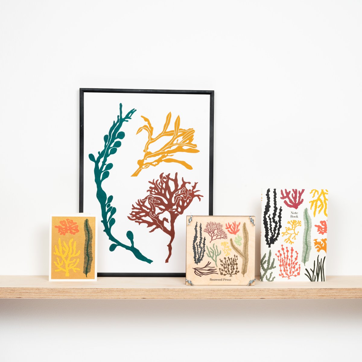 Seaweed Collection – StudioWald