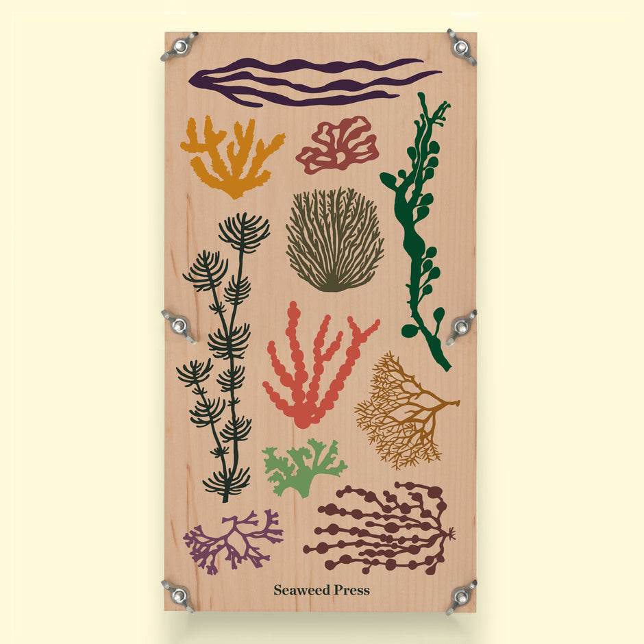 Seaweed Press – StudioWald